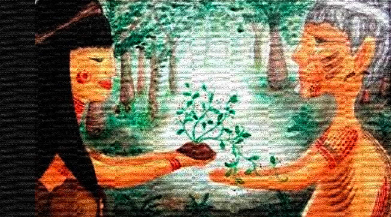 El mito de Yarí y los orígenes de la yerba mate, en la narración de ...